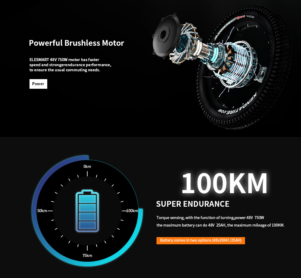 Elesmart New Style Ebike Big Motor Power Mountain E-bike Beach Cruiser ...